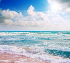 Deniz ve Sahil Resimleri gergi tavan modelleri görselleri desenleri